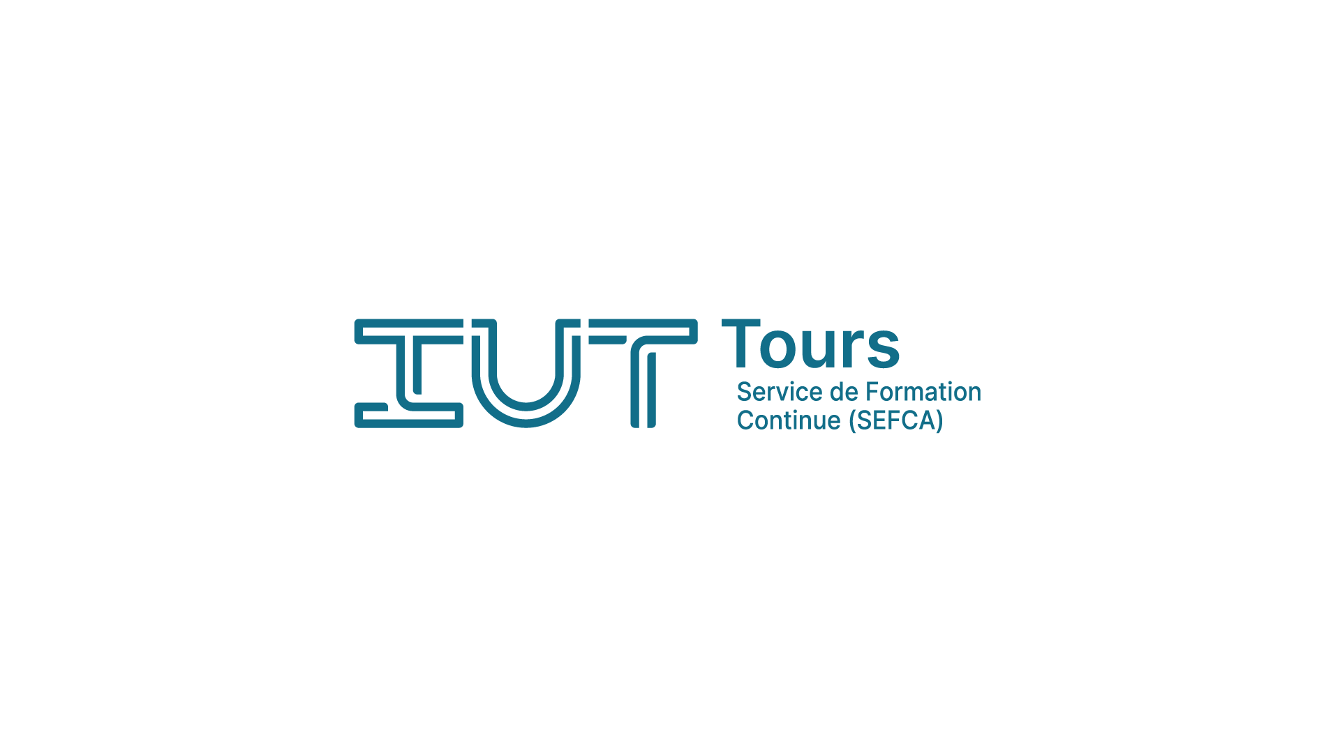 I.U.T. de Tours - Ressources
